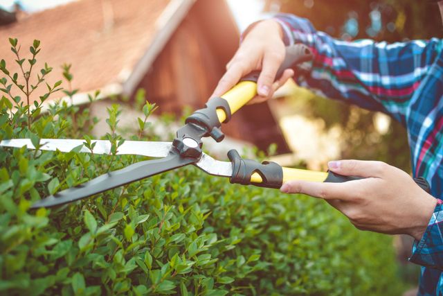 Hydrogen peroxide pruning shears store